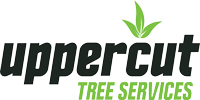 Maximize Your Trees' Potential with Upper Cut Tree Lopping Services ...